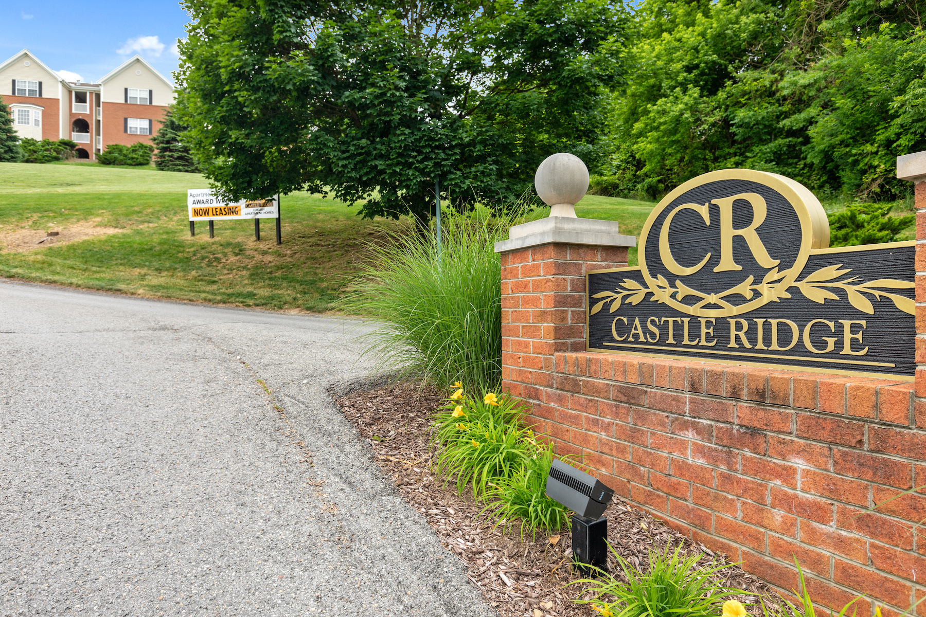 Castle Ridge Gallery - Castle Ridge