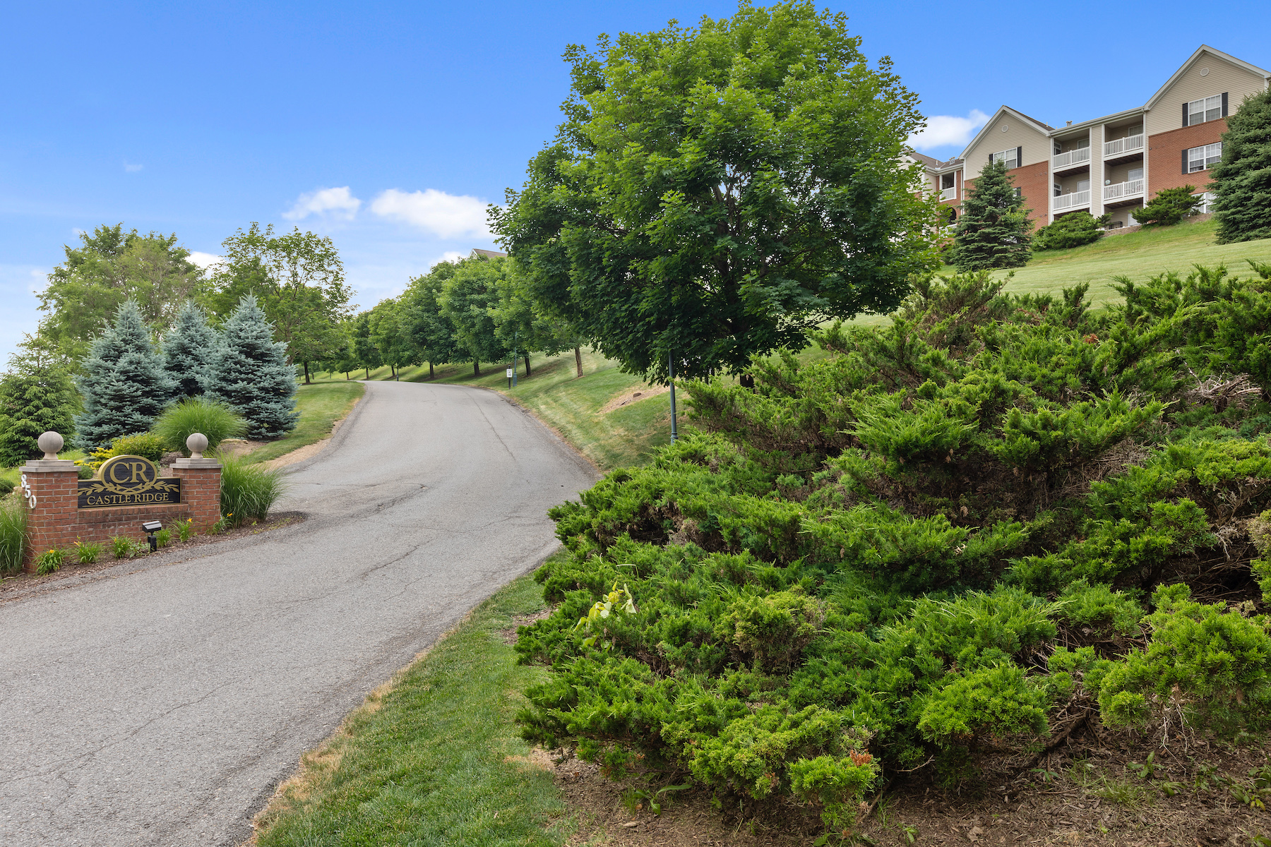 Castle Ridge Gallery - Castle Ridge